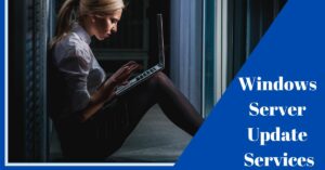 What Is WSUS (Windows Server Update Services)?