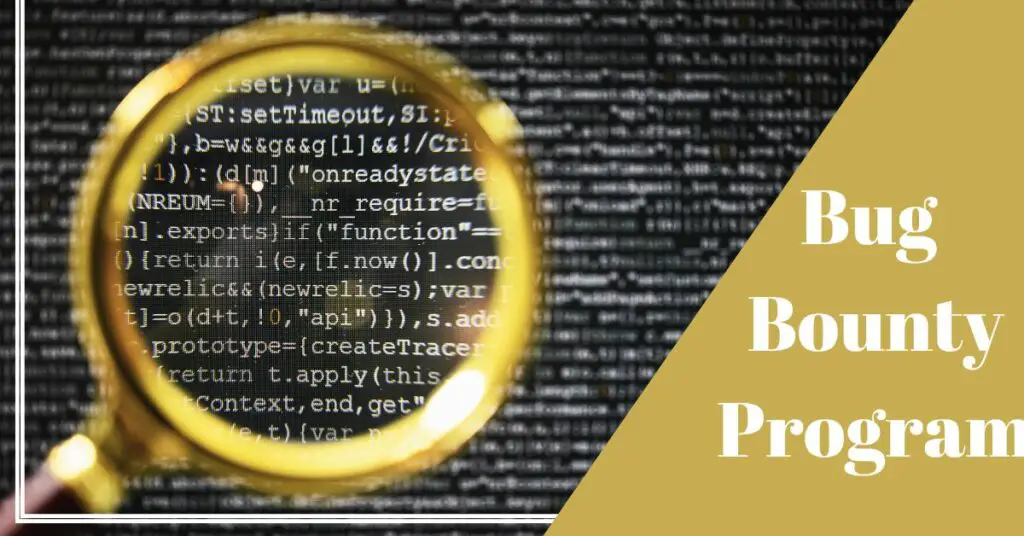 What is A Bug Bounty Program?